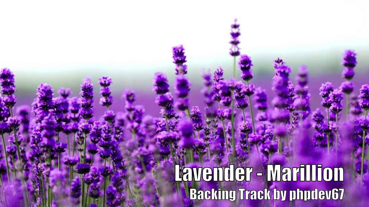 Lavender - Marillion [Instrumental Cover by phpdev67] - YouTube