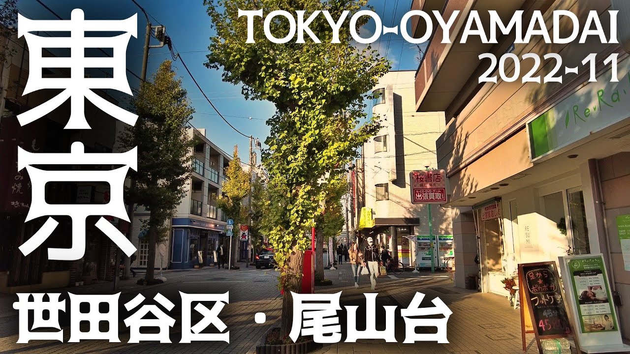 東京散歩 世田谷区の閑静な住宅街【尾山台】を散策 tokyo cityscape oyamadai setagaya walk 2022-11 ...