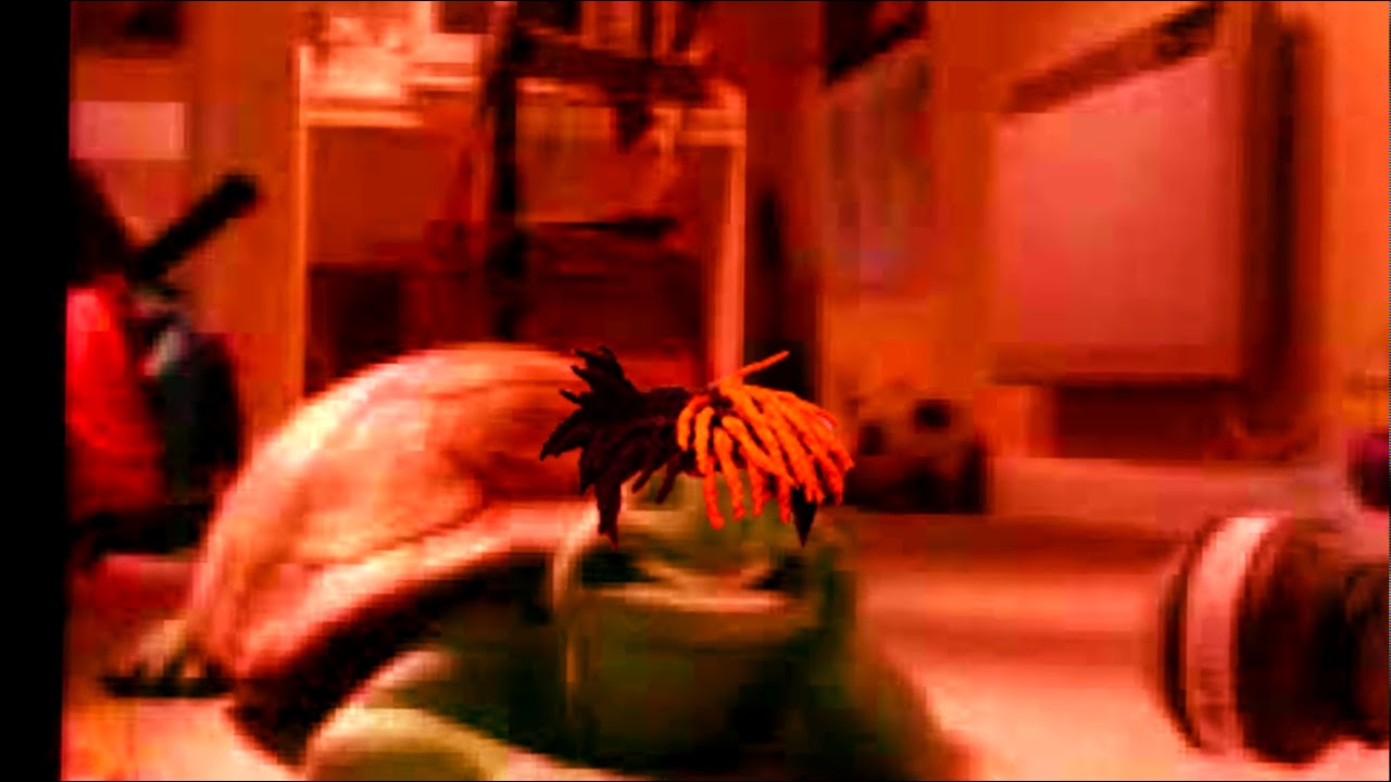 XXX Persian Turtle song - YouTube