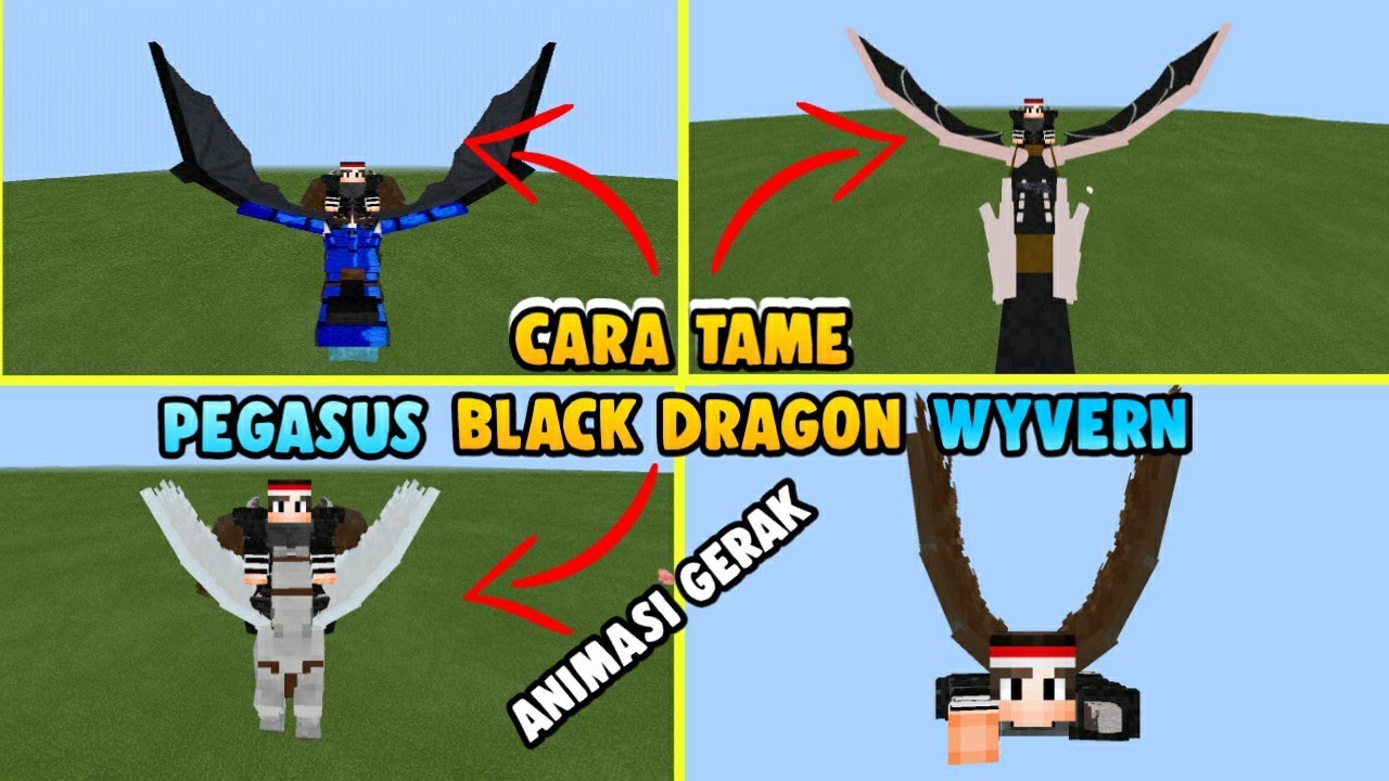 CARA TAME PEGASUS, WYVERN DAN BLACK DRAGON !!!! Minecraft Addons - YouTube