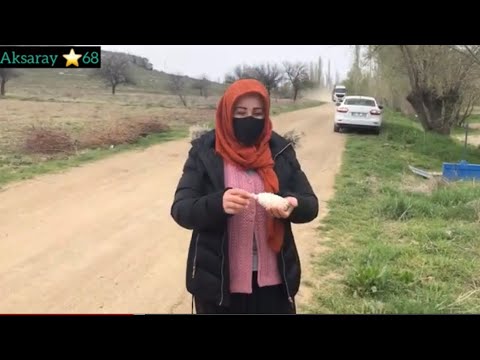 MANTAR TOPLADIK 🥯GISKA EKTIK📌YEMEK YIDIK ❤️