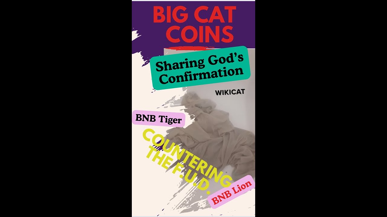 God's Leading: Big Cat Coins - YouTube