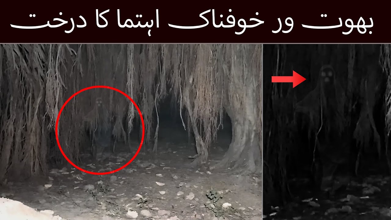 Bhoot Or Khoofnak Aatma Ka Darakht Veril Story - YouTube