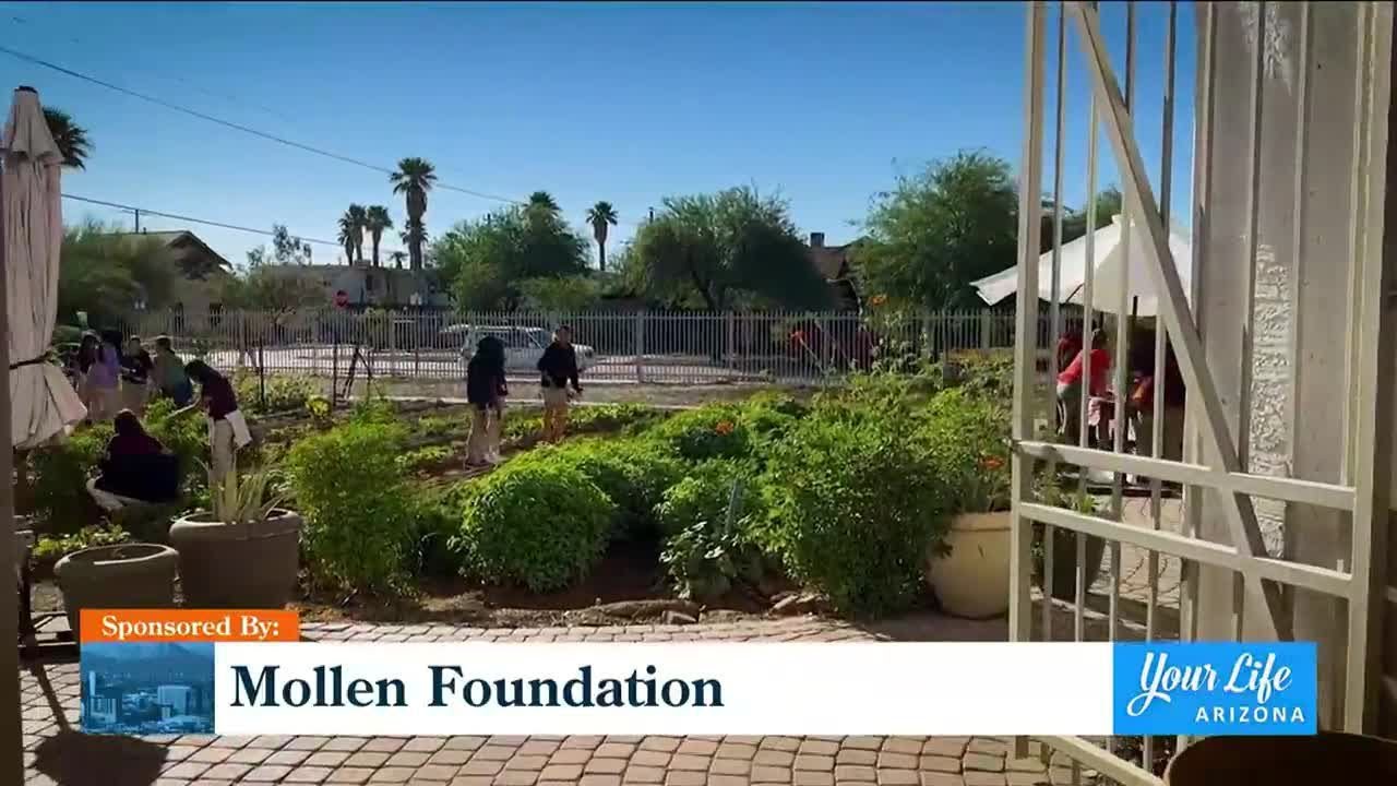 Garfield's Garden on the Corner is passion project for Mollen ...