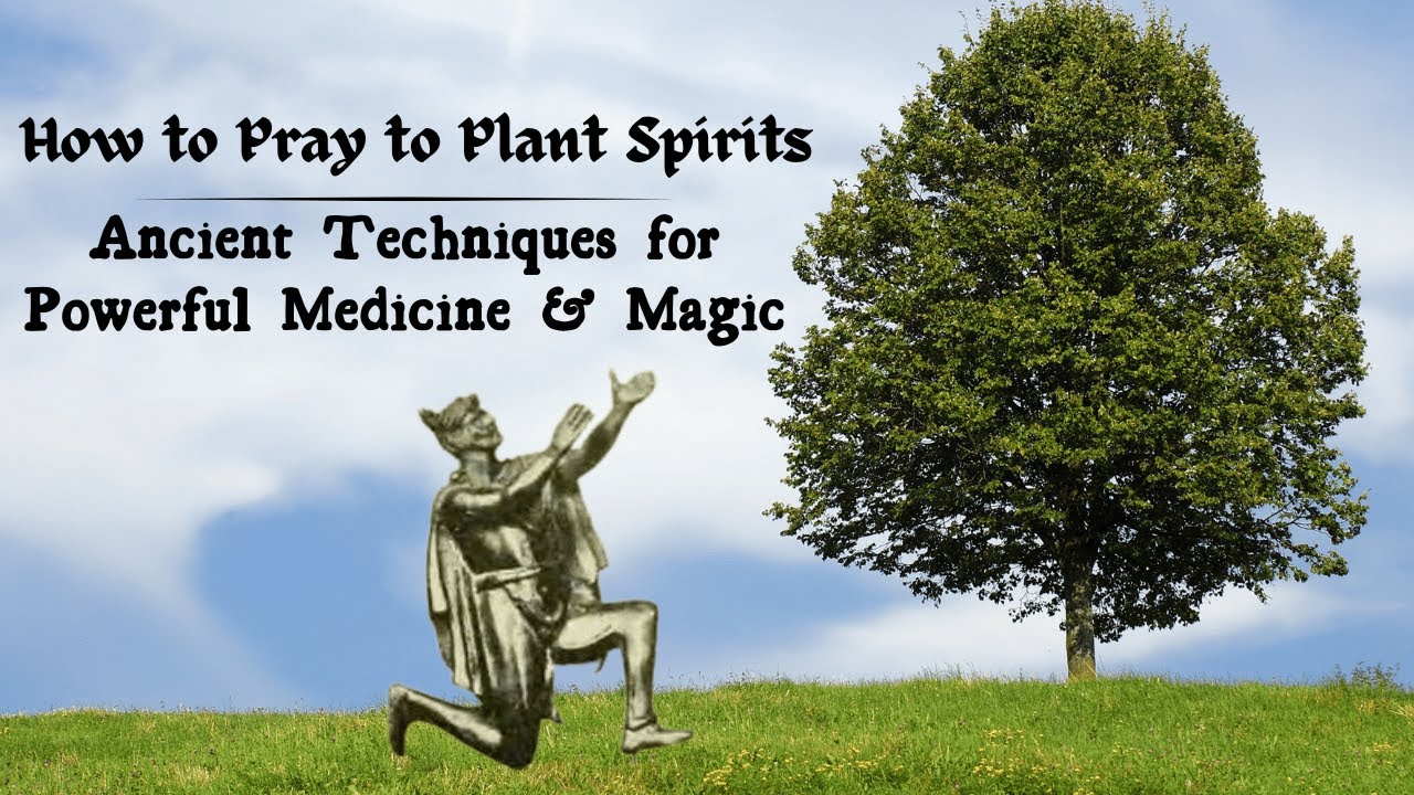 How to Pray to Plant Spirits | Ancient Techniques for Powerful Medicine ...