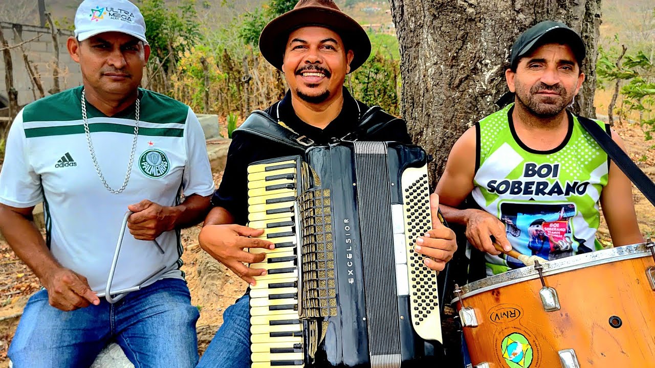 O MELHOR FORRÓ DO MUNDO SANFONA, TRIÂNGULO, ZABUMBA E ALEGRIA PRA VCS ...