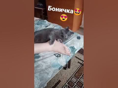 мой котик, моя любимая булочка с корицей💗🥺 - YouTube