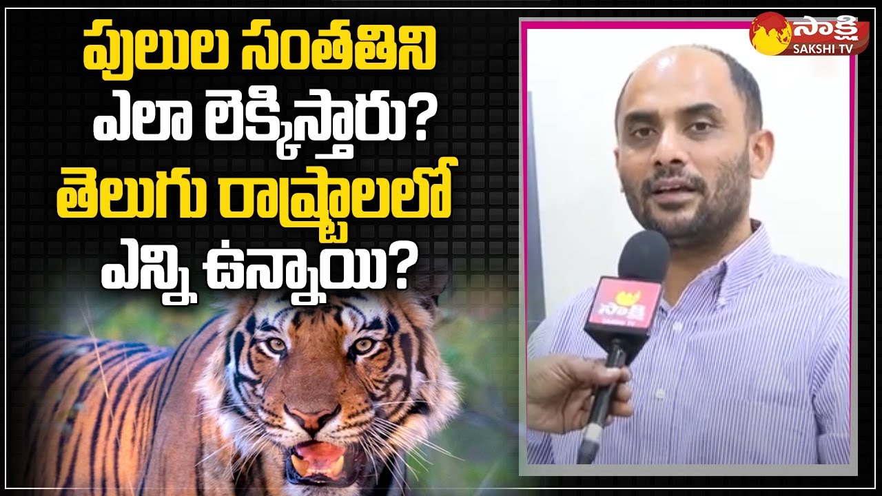 How To Census Tigers | Wildlife Conservation Foundation Chief Imran ...
