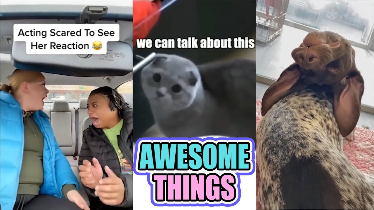 TRY NOT TO LAUGH ... FUNNY FAILS ... ULTIMATE FAILS COMPILATION - YouTube