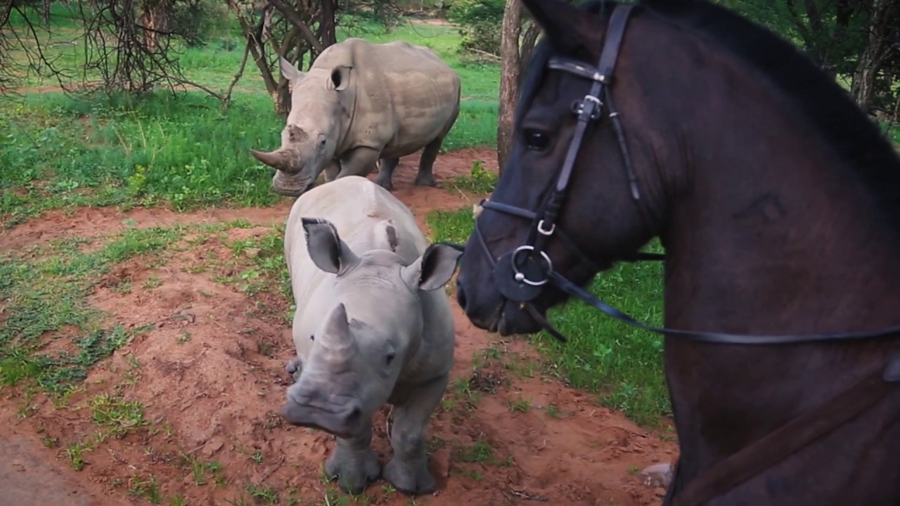 Riding at The Ant Collection Reserve - YouTube