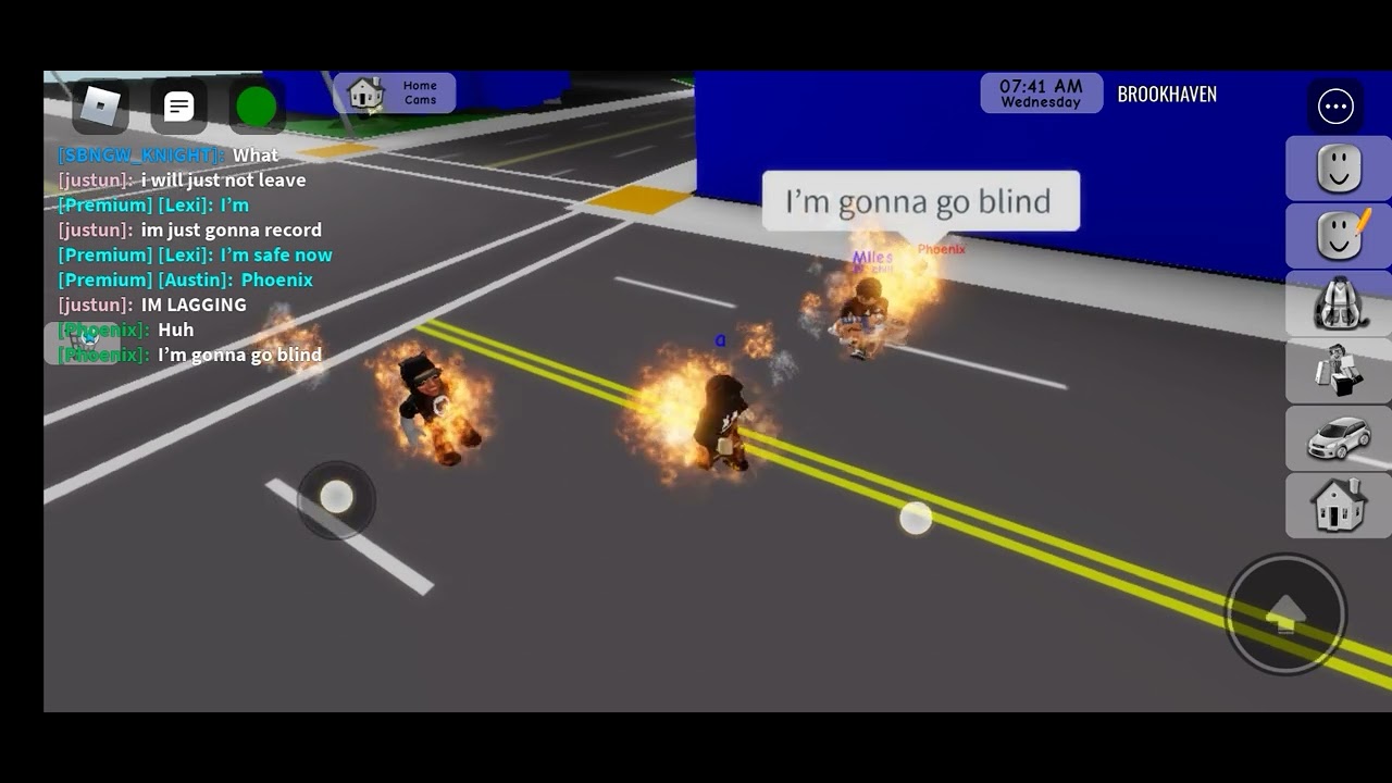 a brookhaven hacker - YouTube