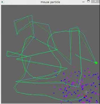 particle filter mouse tracking - YouTube