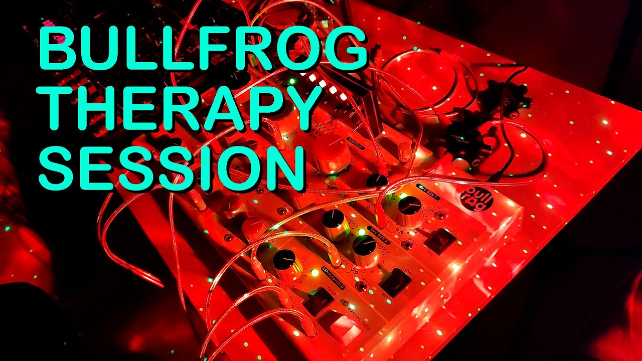 Bullfrog Therapy Session | The Troubled Artist - YouTube