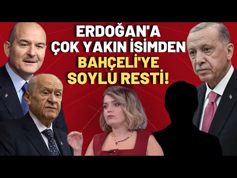 Erdoğan'a çok yakın isim Seyhan Avşar'a konuştu: Erdoğan dava açmaz; zayıflatır ve siler