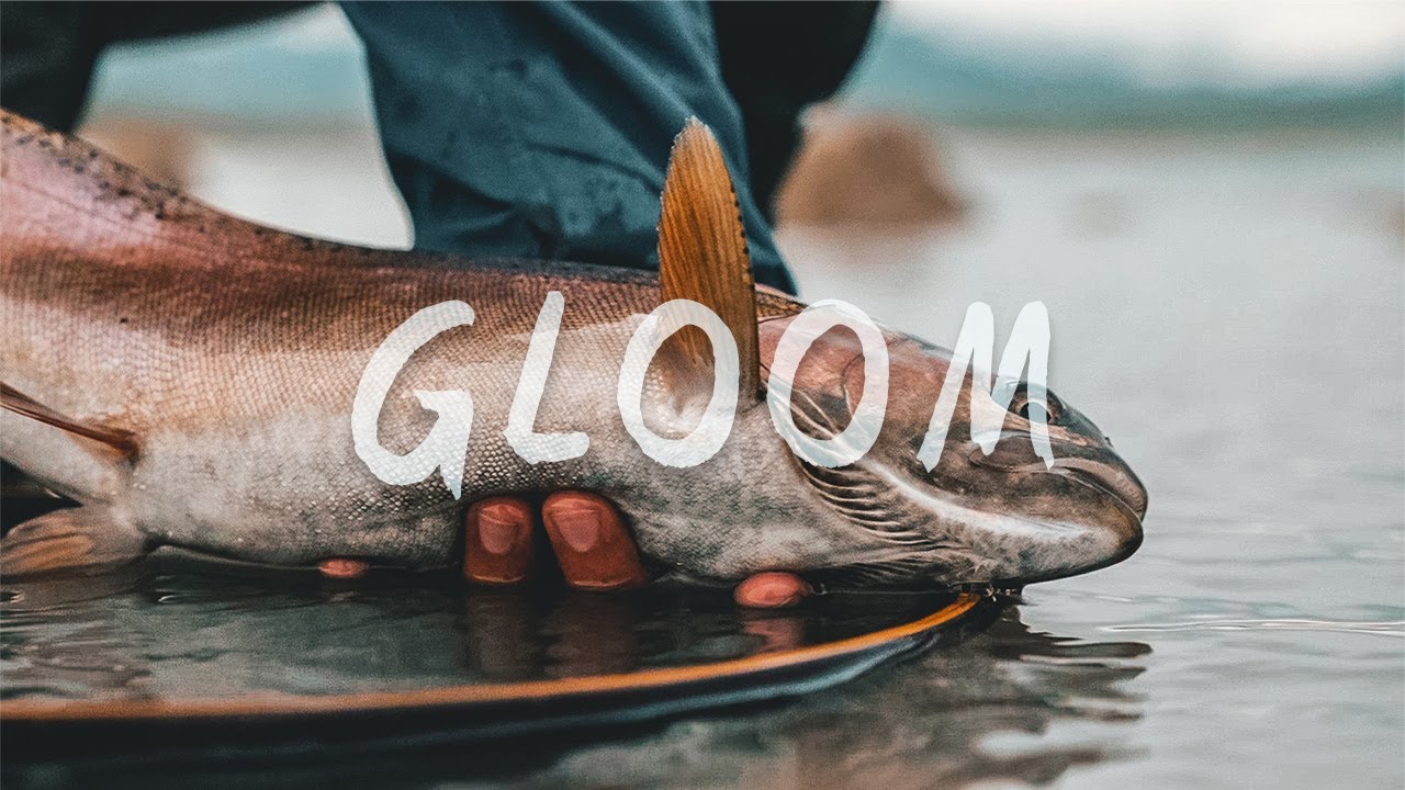 GLOOM | Lessons of Runoff (Montana Fly Fishing) - YouTube