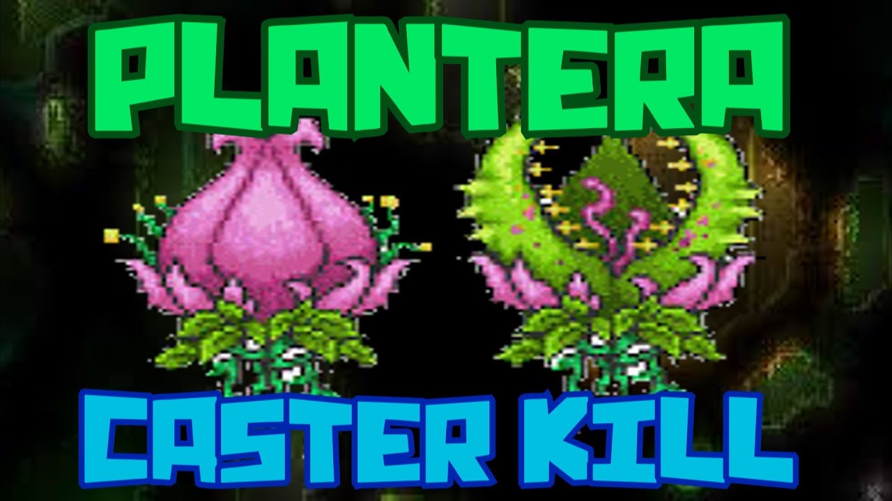 PLANTERA CASTER KILL (Terraria 1.2) - YouTube