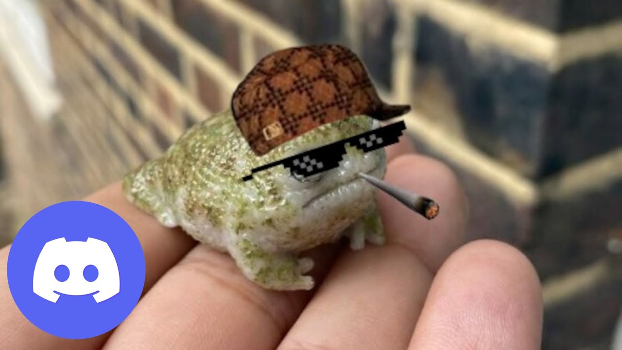 goofy ahh frog awards [Part 2] - YouTube