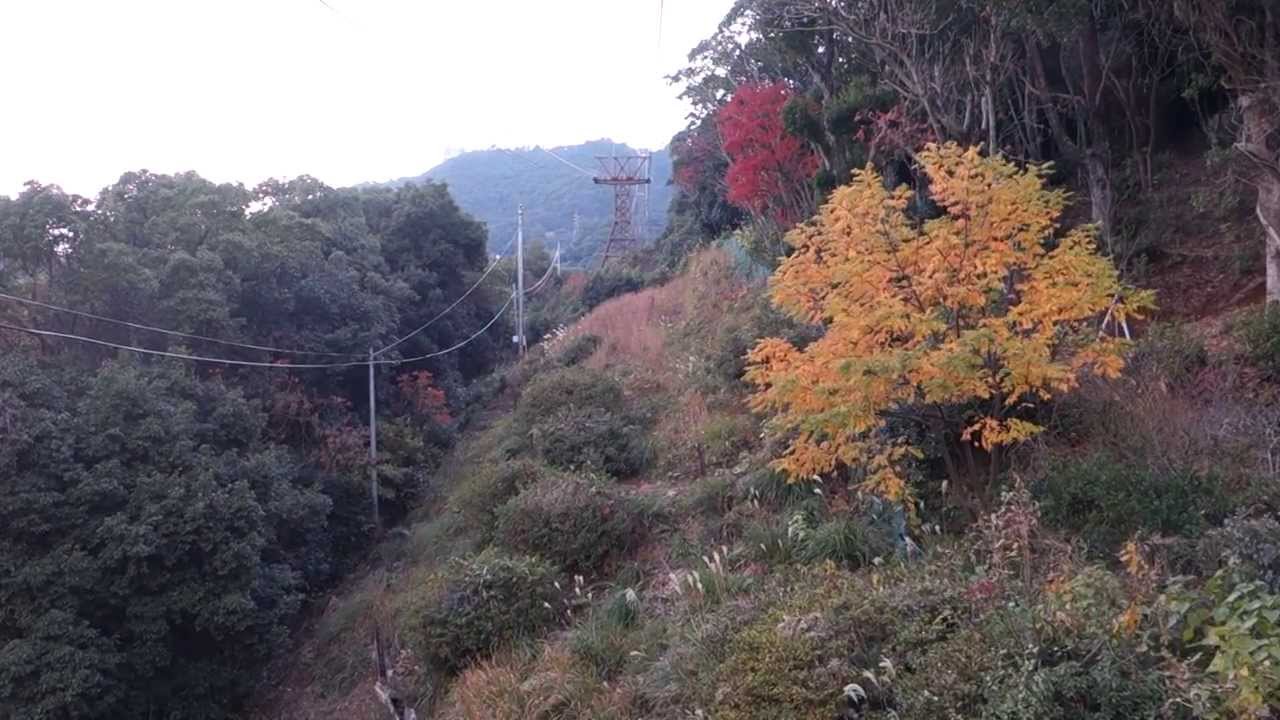 Nagasaki Ropeway Mount Inasa - YouTube