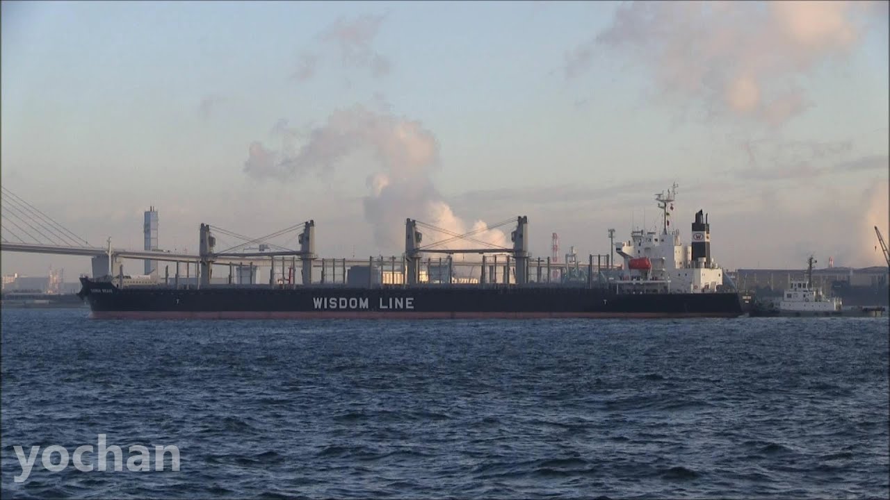 Bulk Carrier / Bulker: DAIWAN BRAVE (Owner: Wisdom Marine Lines, IMO ...