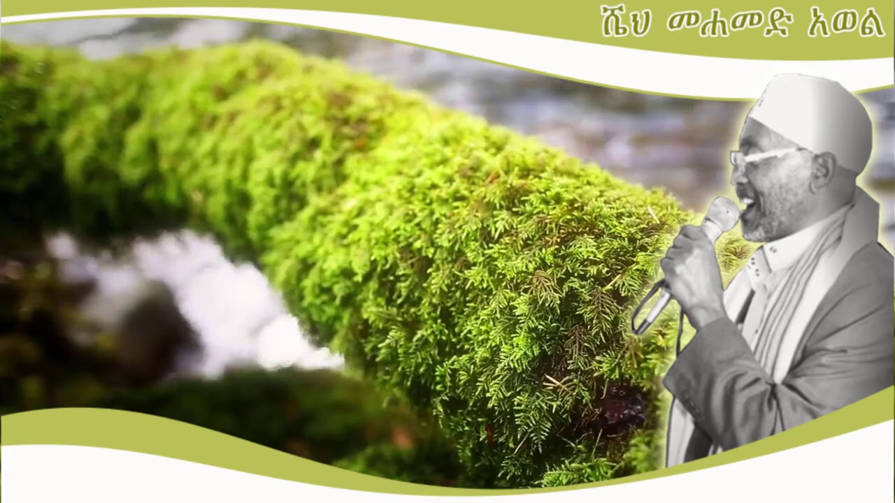 የኛ አህዋል ልብ የሚነካ መንዙማ Mohammed Awol መሀመድ አወል - YouTube