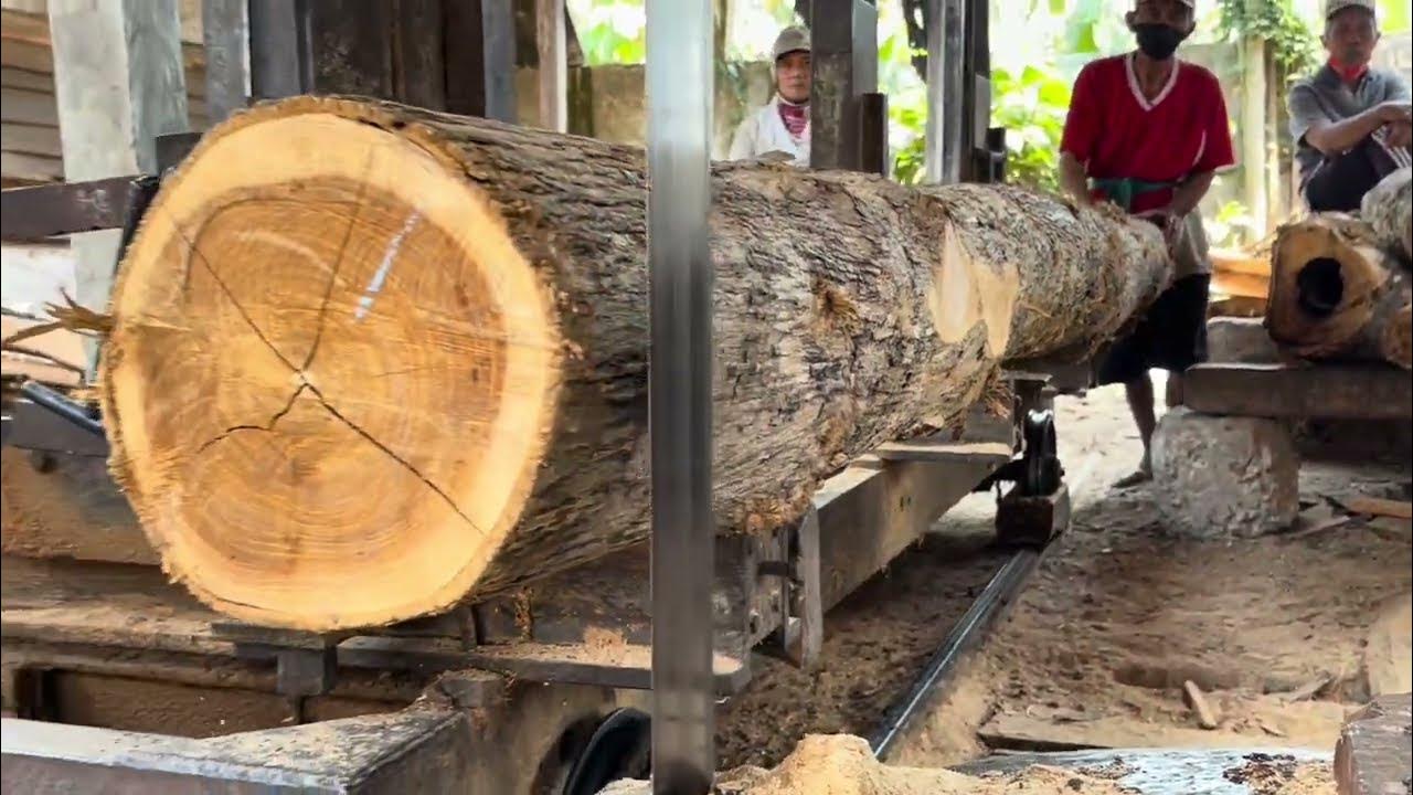 amazing wood sawmill process|10 million worth of teak wood made into ...