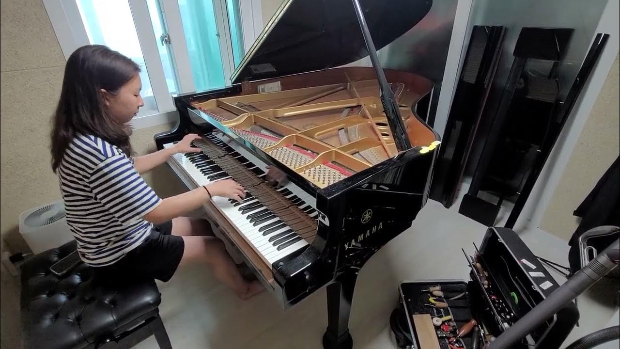 Debussy Prelude No.7 Book 1. 드뷔시 프렐류드.스타인웨이 해머 + 야마하그랜드피아노C3. 피아노집아저씨 ...