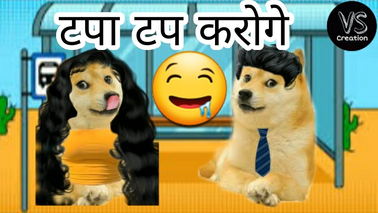 टपा टप करोगे 🤤 | doge | dogesh | dogelina | cheems | funnyvideo - YouTube