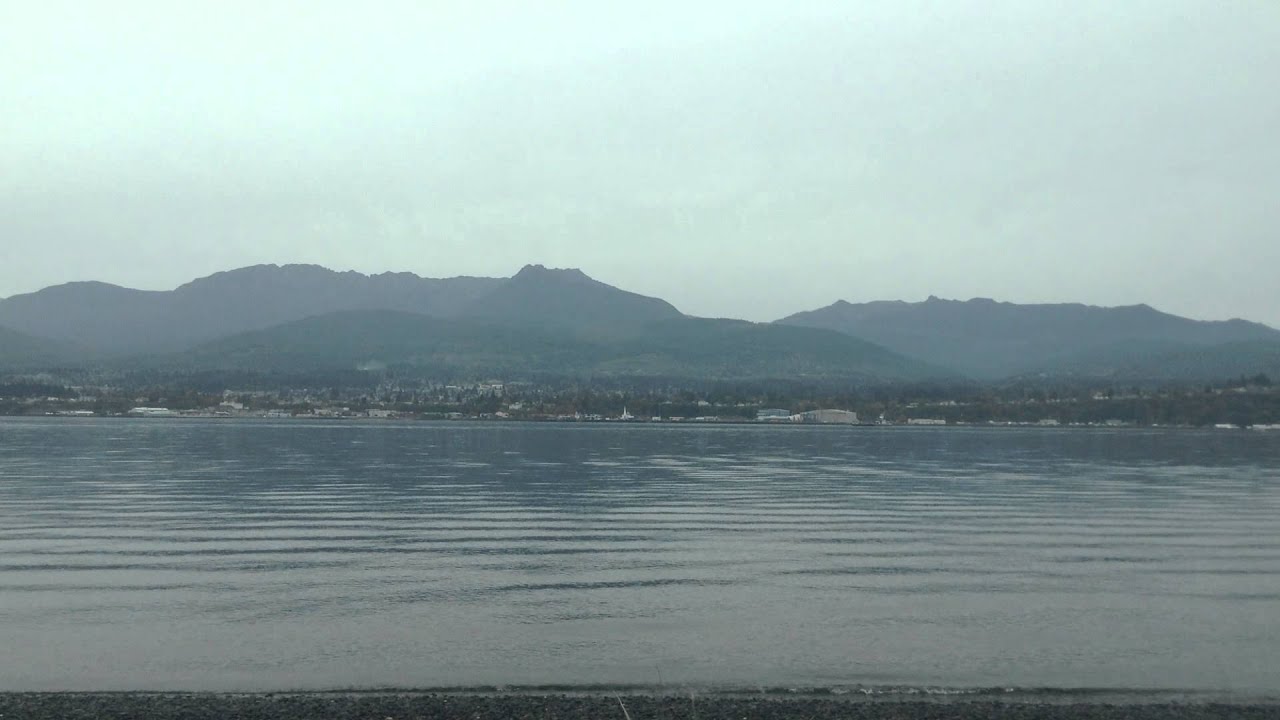 Delaney Nichols - Try by Colbie Caillat (Cover) - YouTube