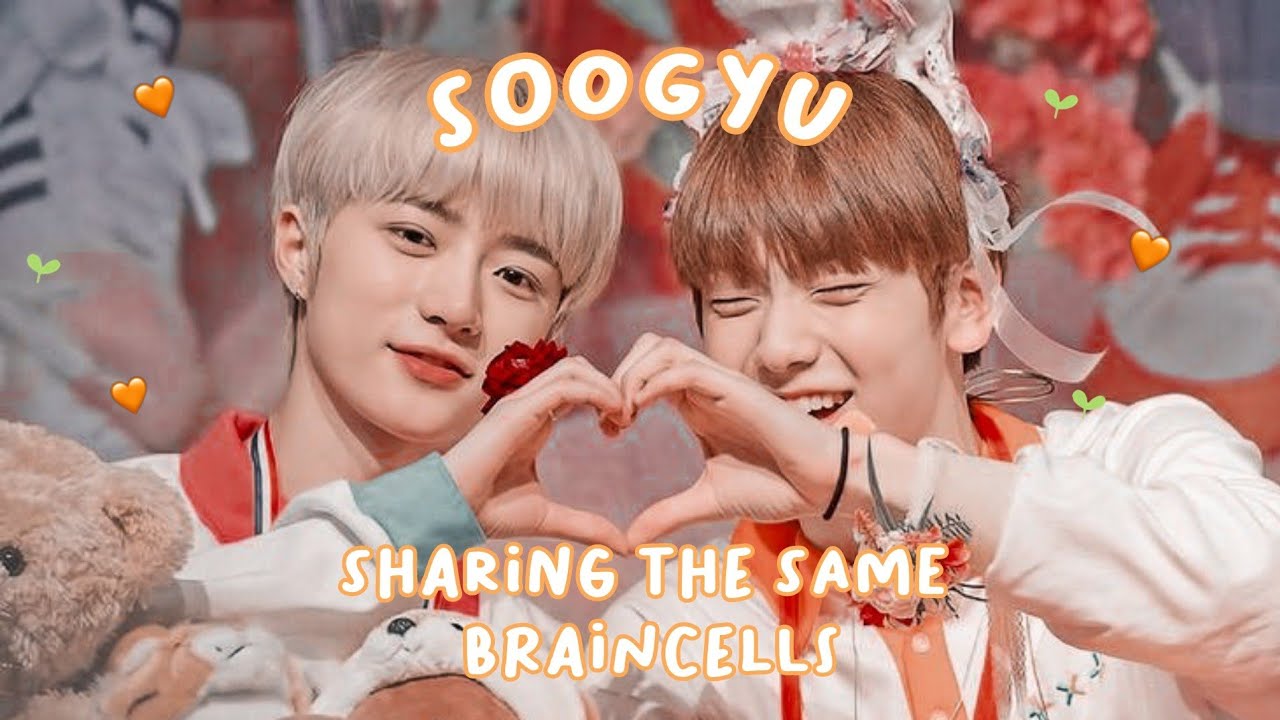 Soogyu sharing the same braincell - YouTube
