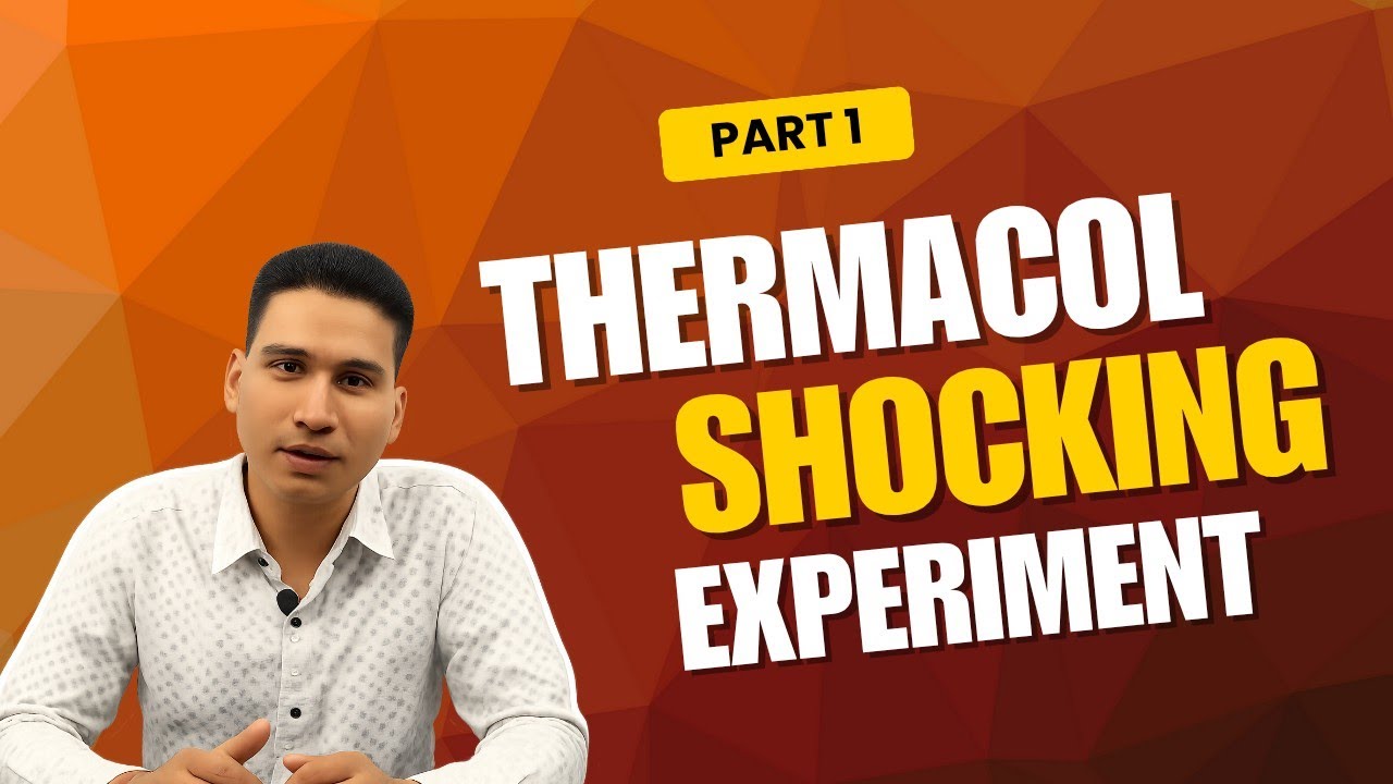 Amazing Experiment of Thermacol with Different Liquid |थर्माकोल का अन्य ...