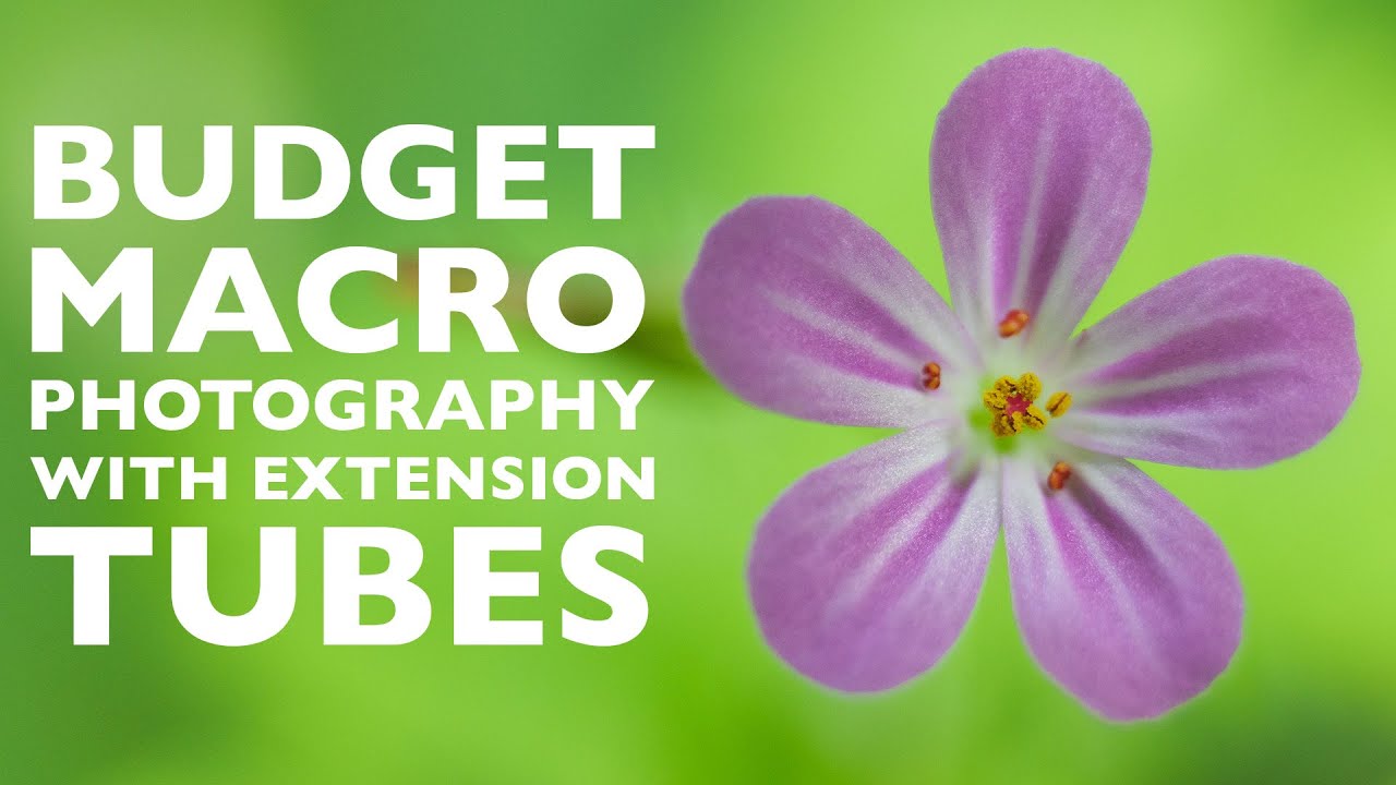 Extension Tubes for Macro Photography - YouTube