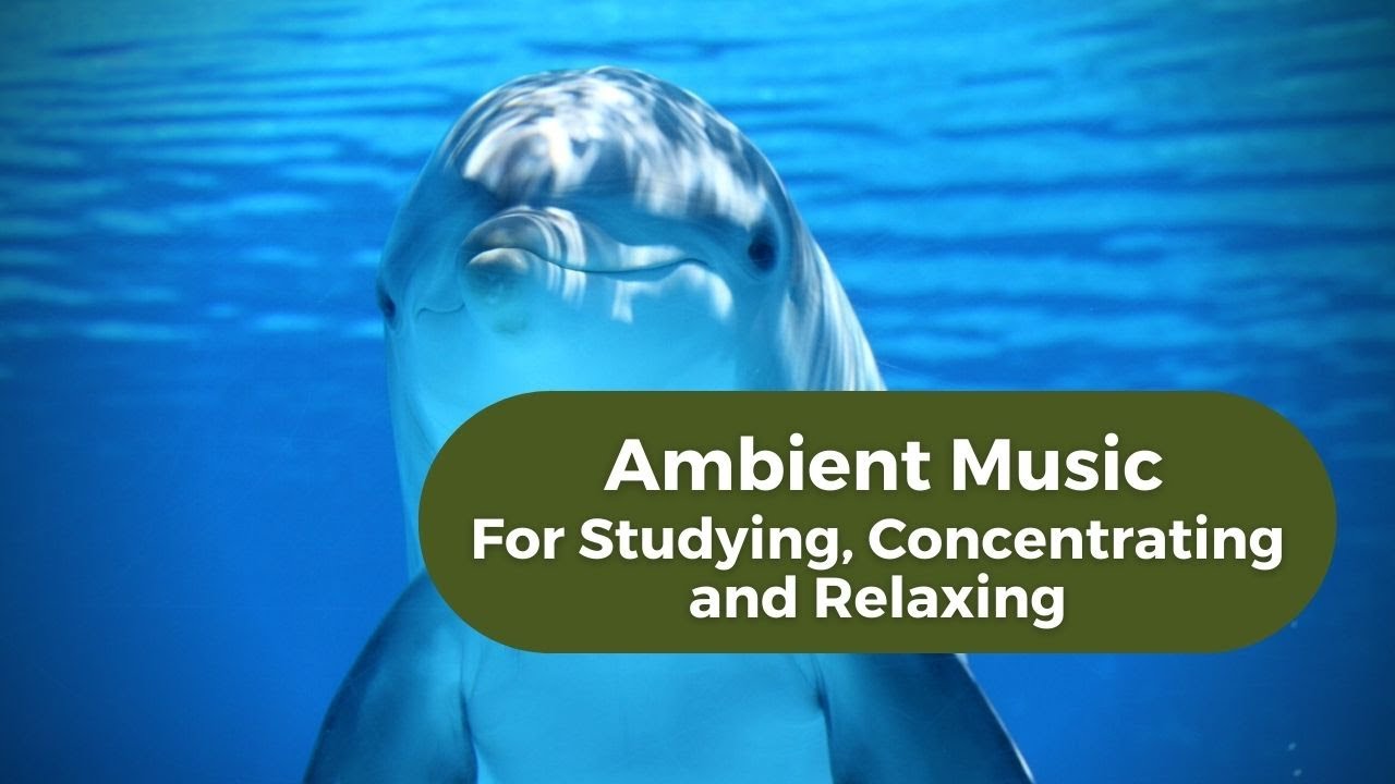 Ambient Music For Studying, Concentrating And Relaxing - YouTube