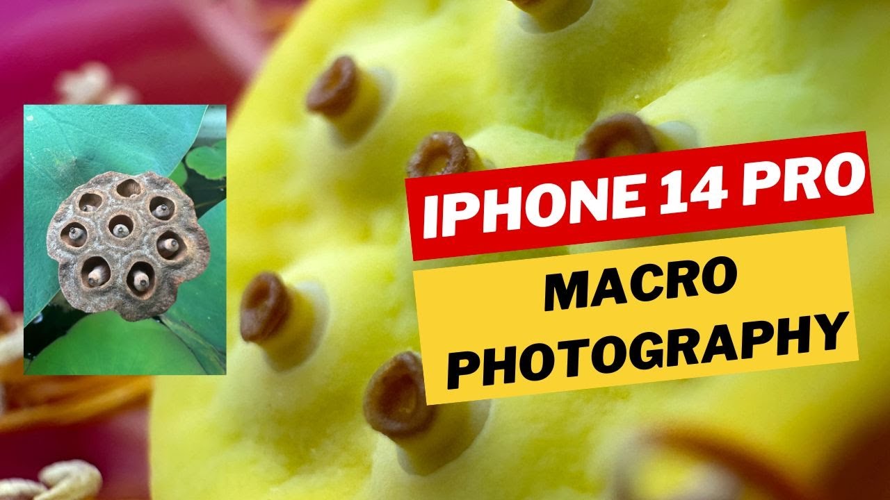 IPHONE 14 PRO Macro Photography | Macro photos - YouTube