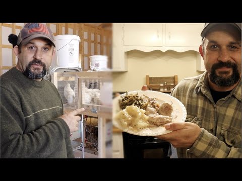From Cage to Plate!  The BEST WAY To Prepare Quail!