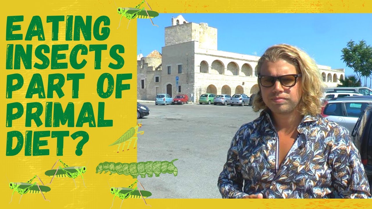 Is eating Insects part of the Primal diet? Are they healthy? # ...