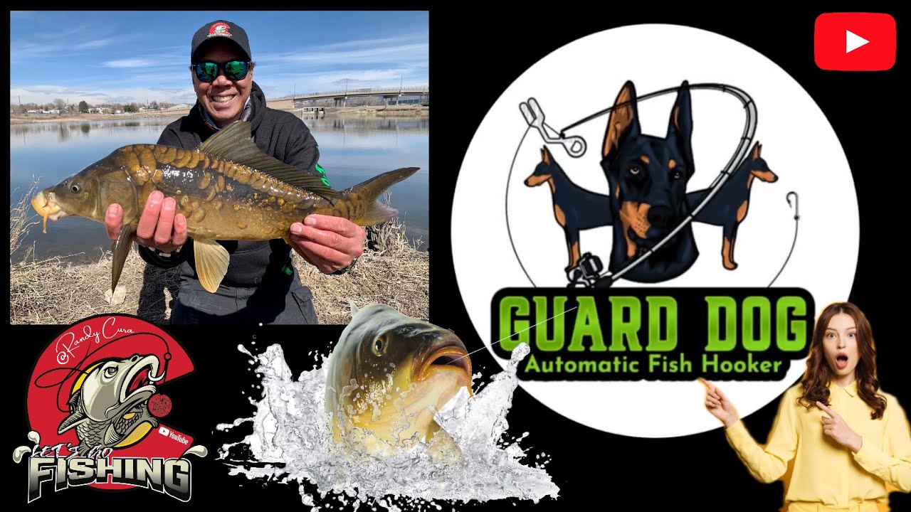 BEAUTIFUL MIRROR CARP caught on the GUARD DOG PRO! #fishing #promo # ...