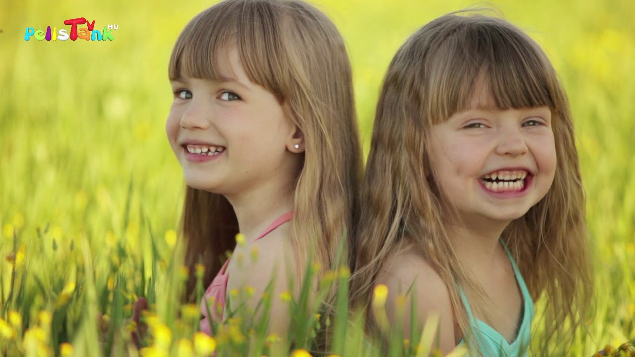 identity pelistank tv - YouTube