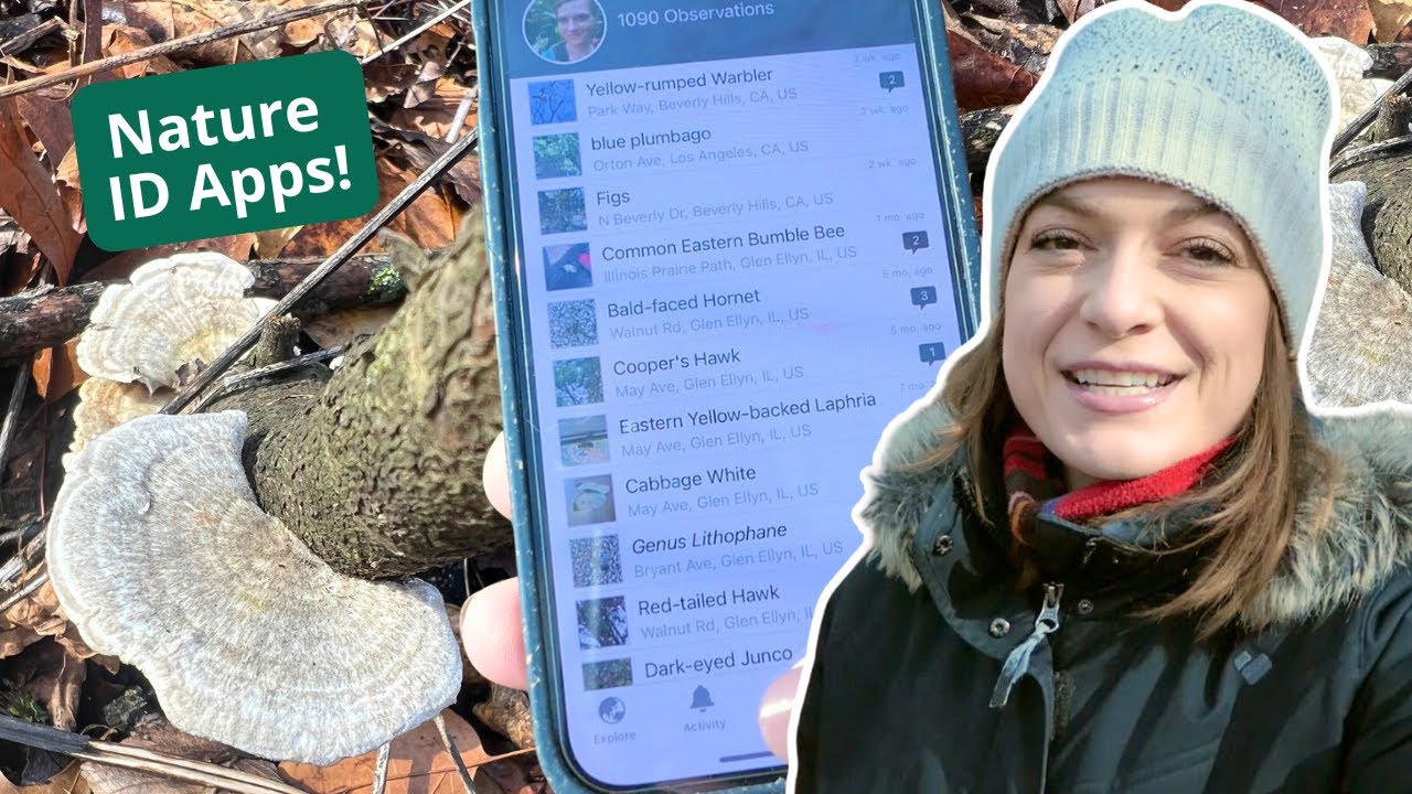 Identify Wildlife Using and iNaturalist and Seek Apps | Wildlife ...