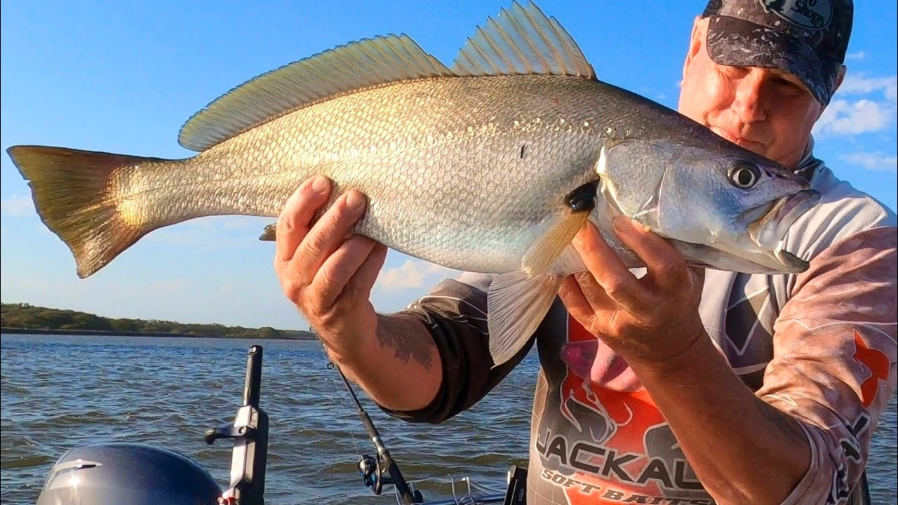 Strong winds rough weather and Small Jewfish - YouTube
