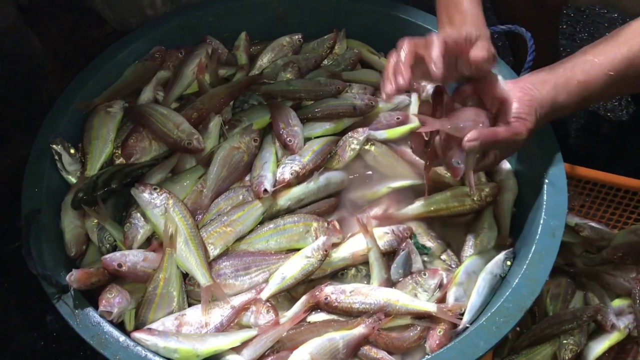 TACLOBAN FISH PORT MARKET , CATCHANDCOOK PHILIPPINES - YouTube