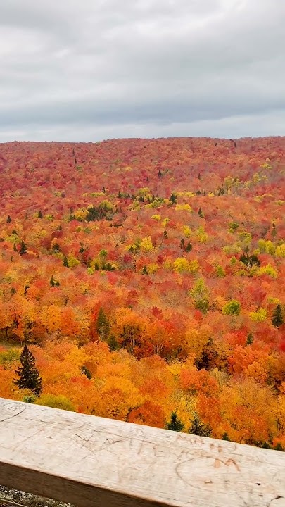 Say goodbye to fall with %40northerlyhome%21 %F0%9F%91%8B We%E2%80%99re ...