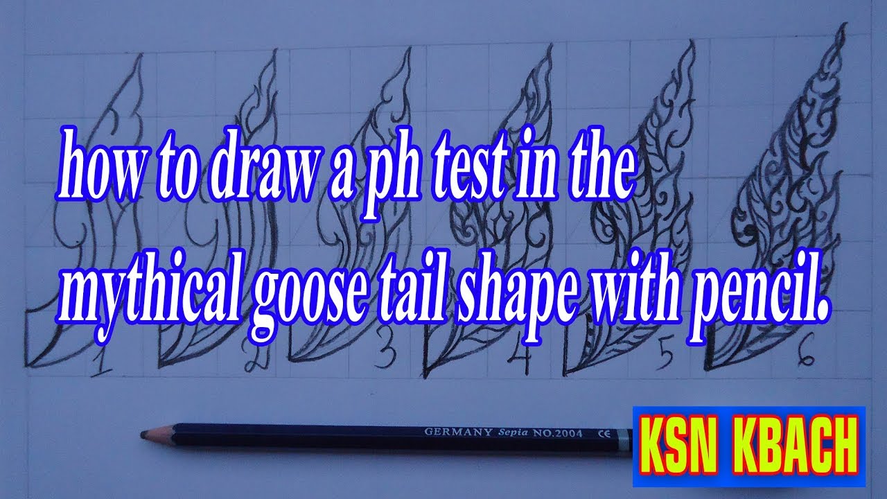 how to draw a ph test in the mythical goose tail shape with pencil ...