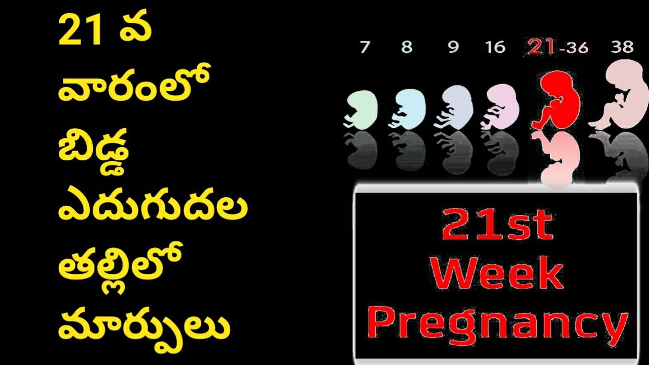 21week baby fetal development during pregnancy గర్భం 21వారాలకు శిశువు ...