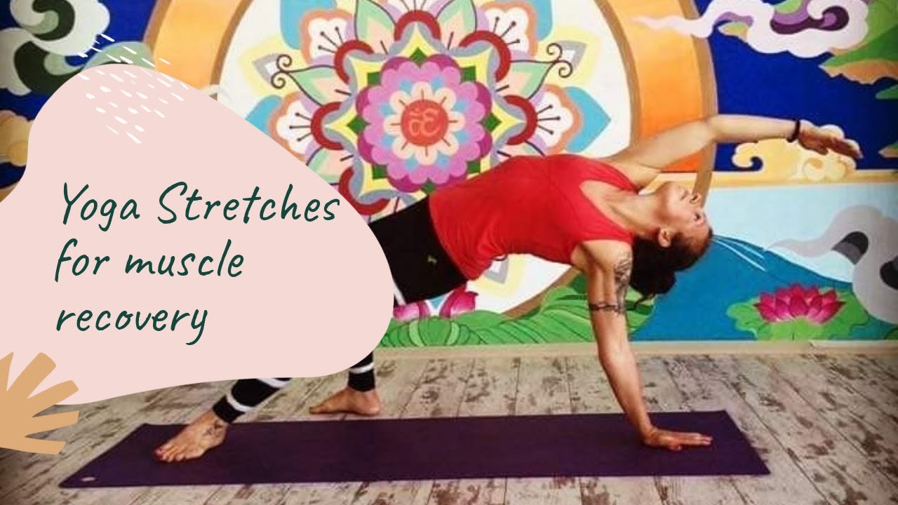 Yoga stretches for muscle recovery after workouts - YouTube