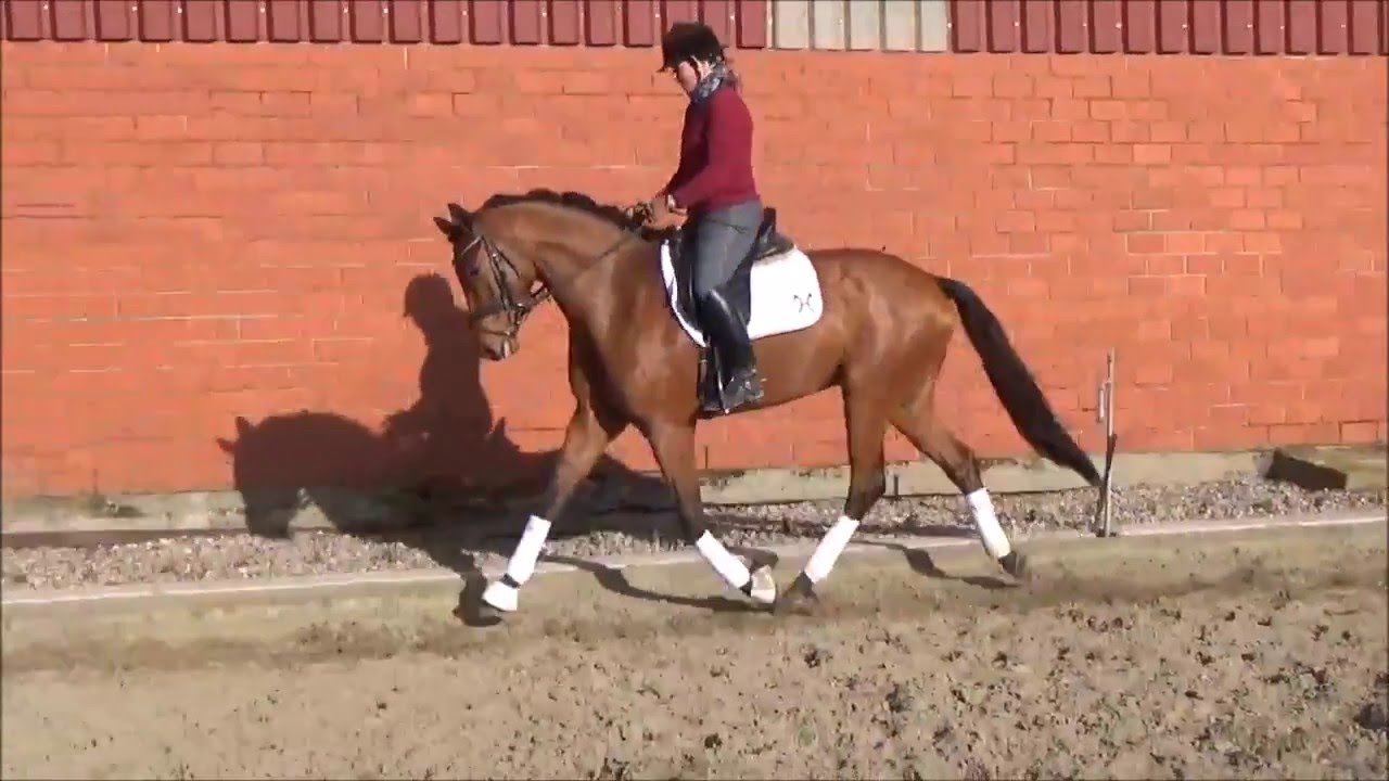 www.stall-rode.de - YouTube