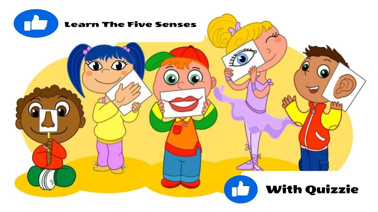 Learn The Five Senses With Quizzie The Quiz Master | Best Educational ...