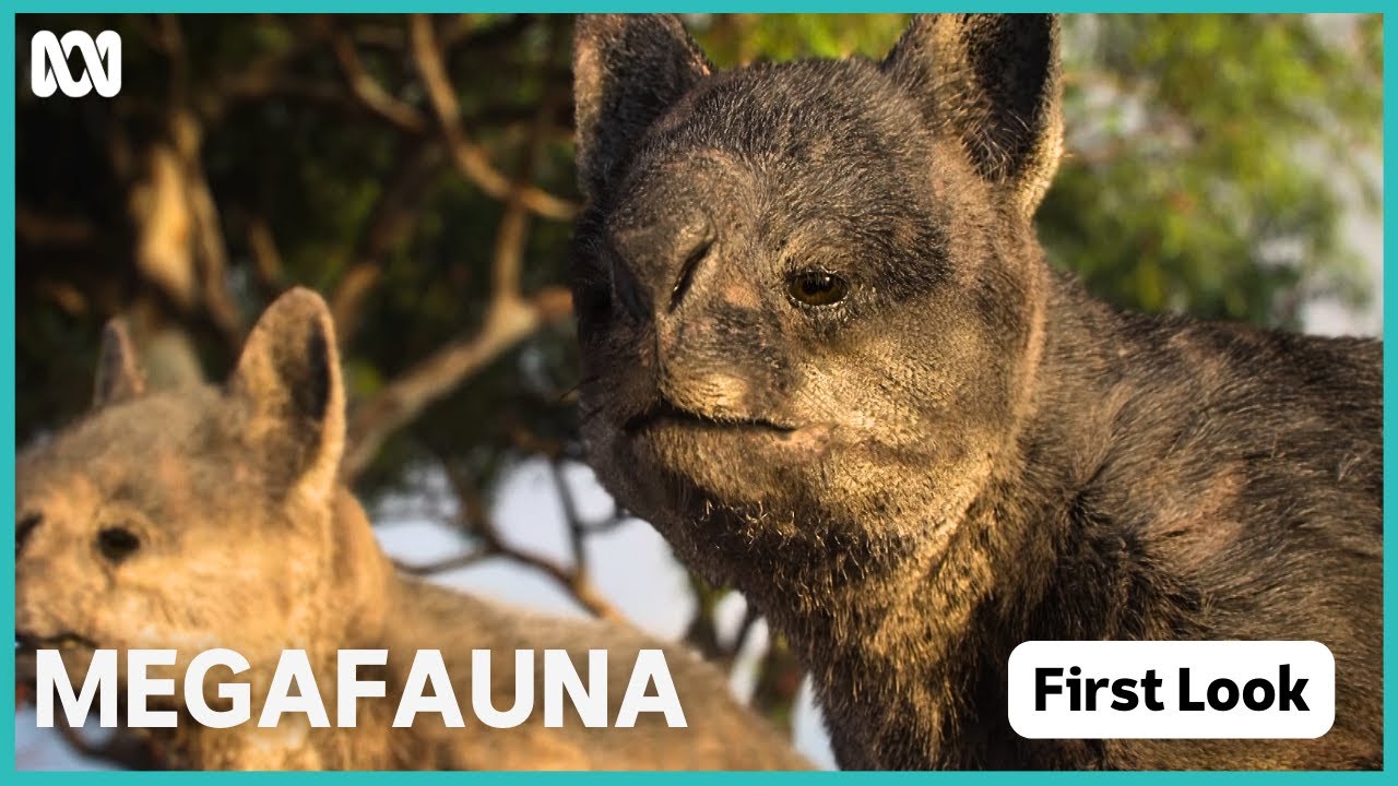 First look | Megafauna: What Killed Australia's Giants? | ABC iview ...