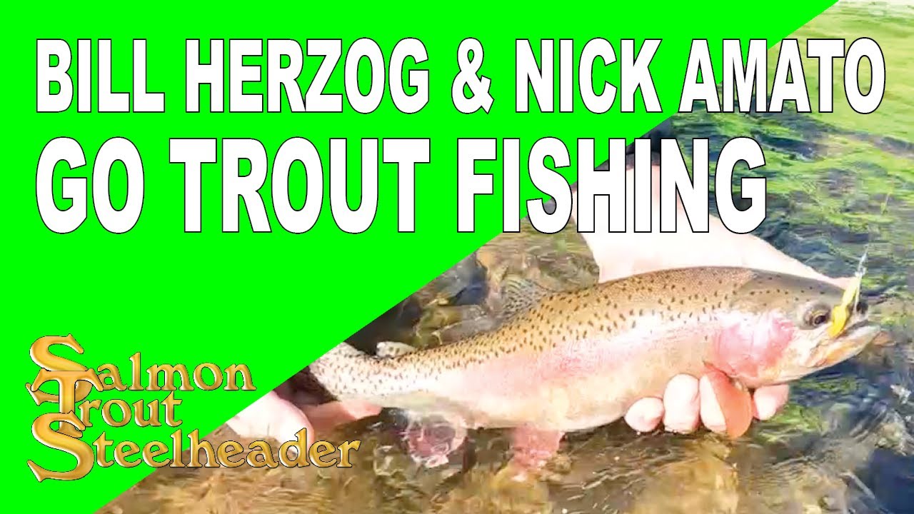 Bill Herzog and Nick Amato go Trout Fishing - YouTube