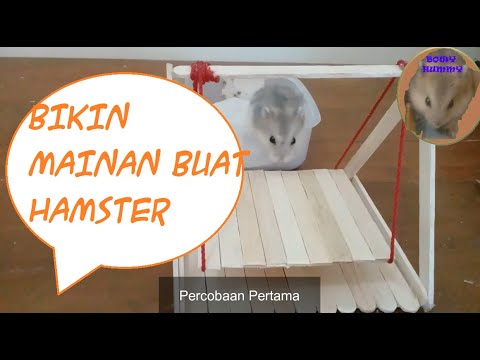 🐹Tutorial Cara Membuat Mainan Ayunan Hamster (DIY Hamster's Toy)🐹 - YouTube