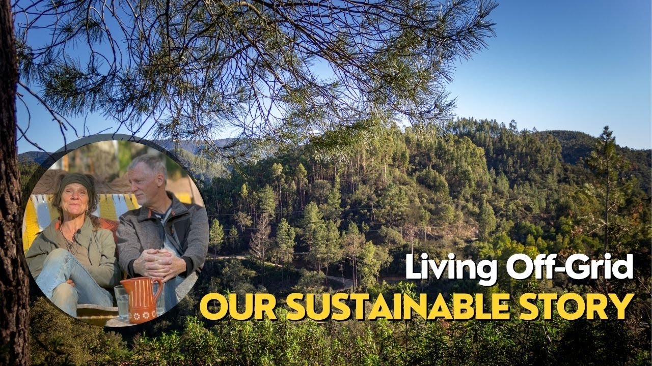 ☀💧🌱Sustainable off-grid living: How to live in harmony with nature. 🌿🏡 ...